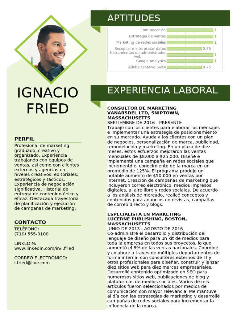 Formato cv-24 | PDF | Marketing | Arte