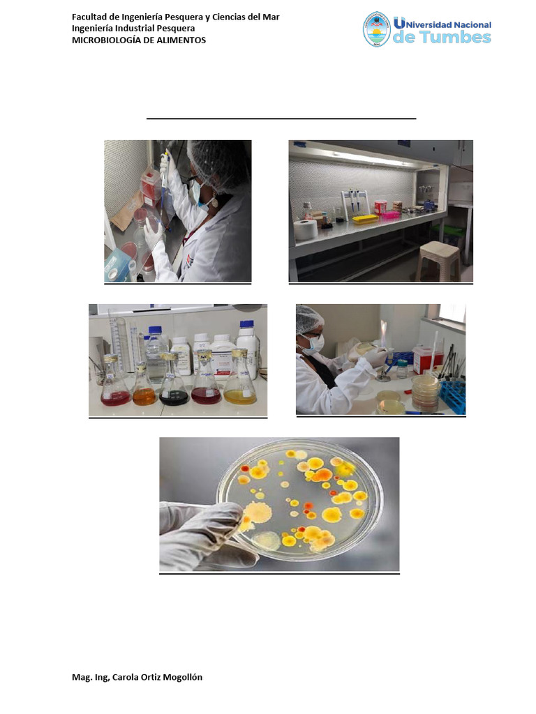 Separata #03 - Microbiologia de Alimentos | PDF