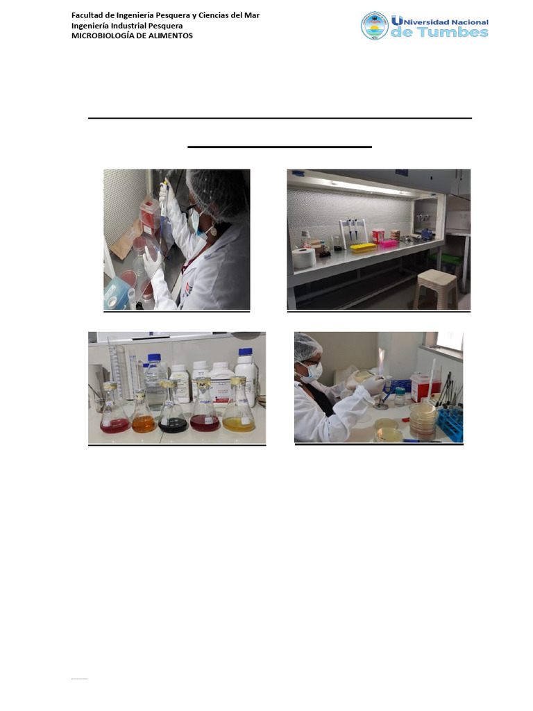 SEPARATA N° 02 - MICROBIOLOGIA DE ALIMENTOS | PDF