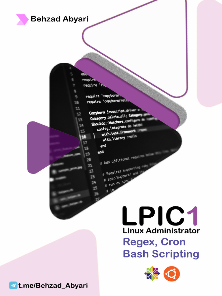 Linux Regex and Bash Scripting Guide | PDF