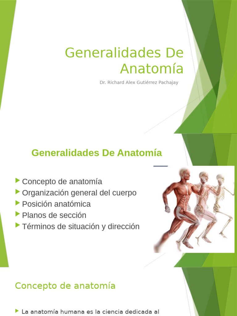 Generalidades de Anatomía - Parte 1 | PDF