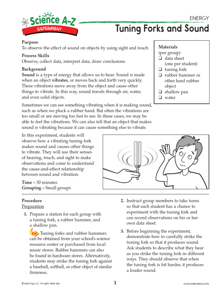 SL GR 1 Sound and Light L2 All Printable Resources | PDF