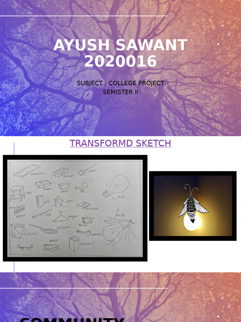 College Project Portfolio | PDF