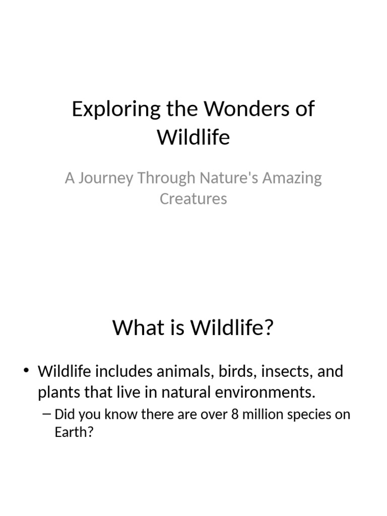 Wildlife Presentation | PDF