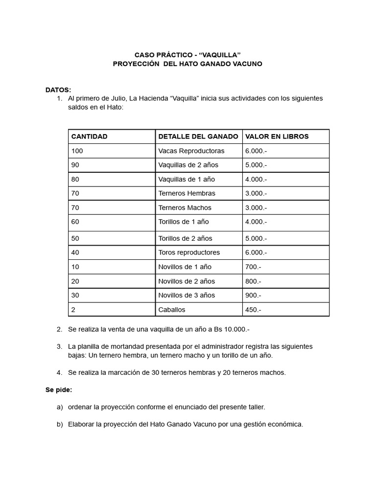 Caso Práctico - "Vaquilla" | PDF