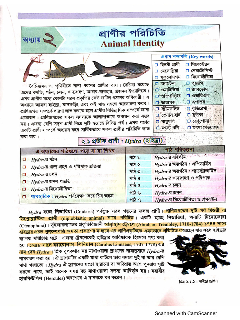 Animal Identity - Hydra | PDF