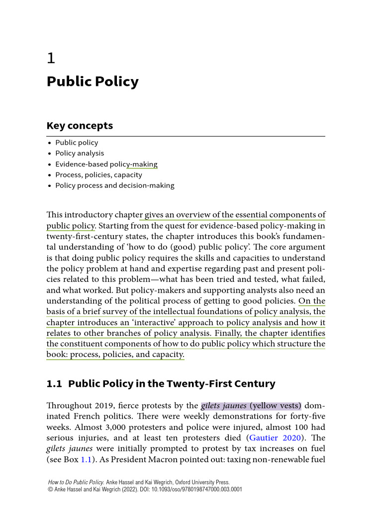 How to Do Public Policy Chapter 1 Public Policy | PDF