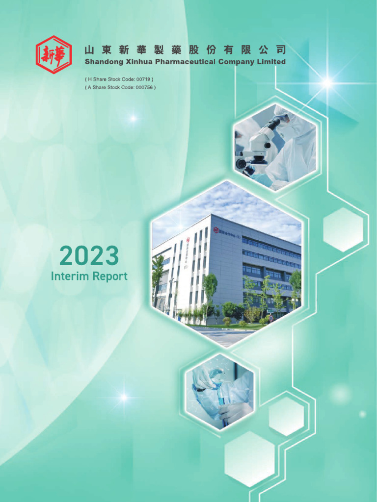 2023 Interim Report | PDF | Equity (Finance) | Income Statement