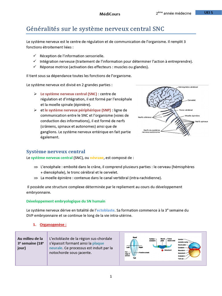 Cours Infirmier | PDF