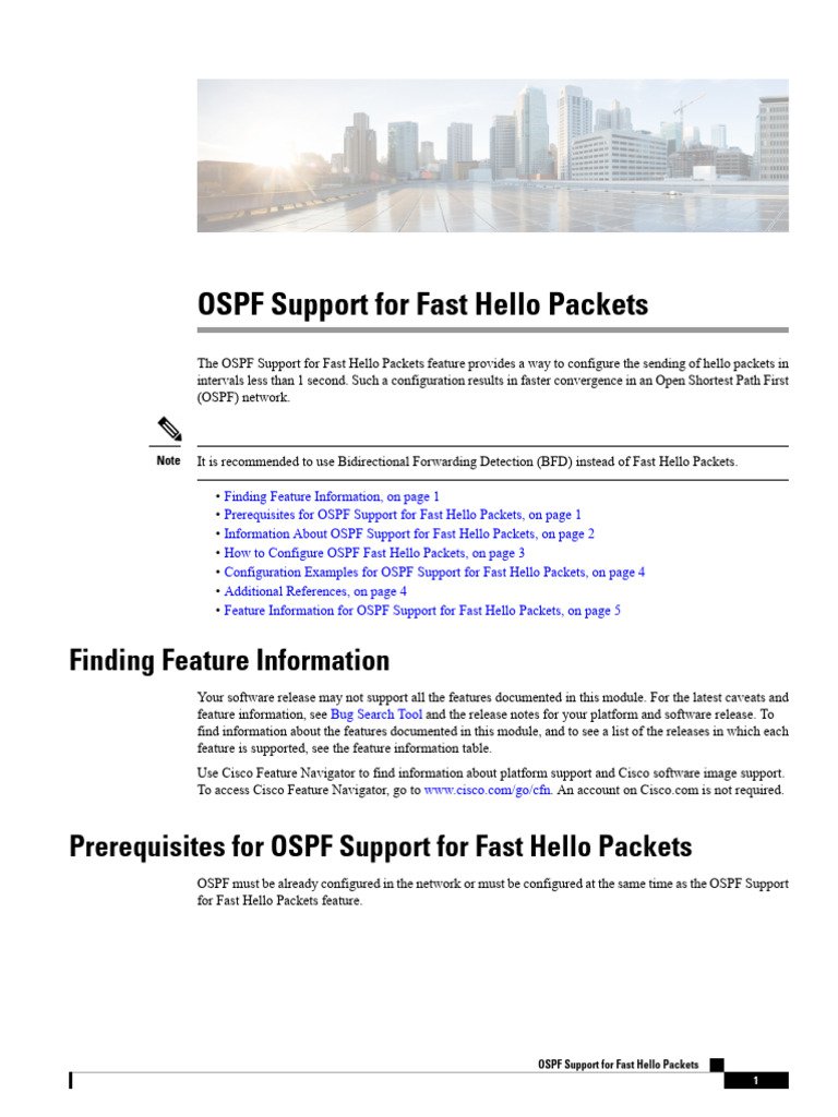 OSPF Fast Packets | PDF