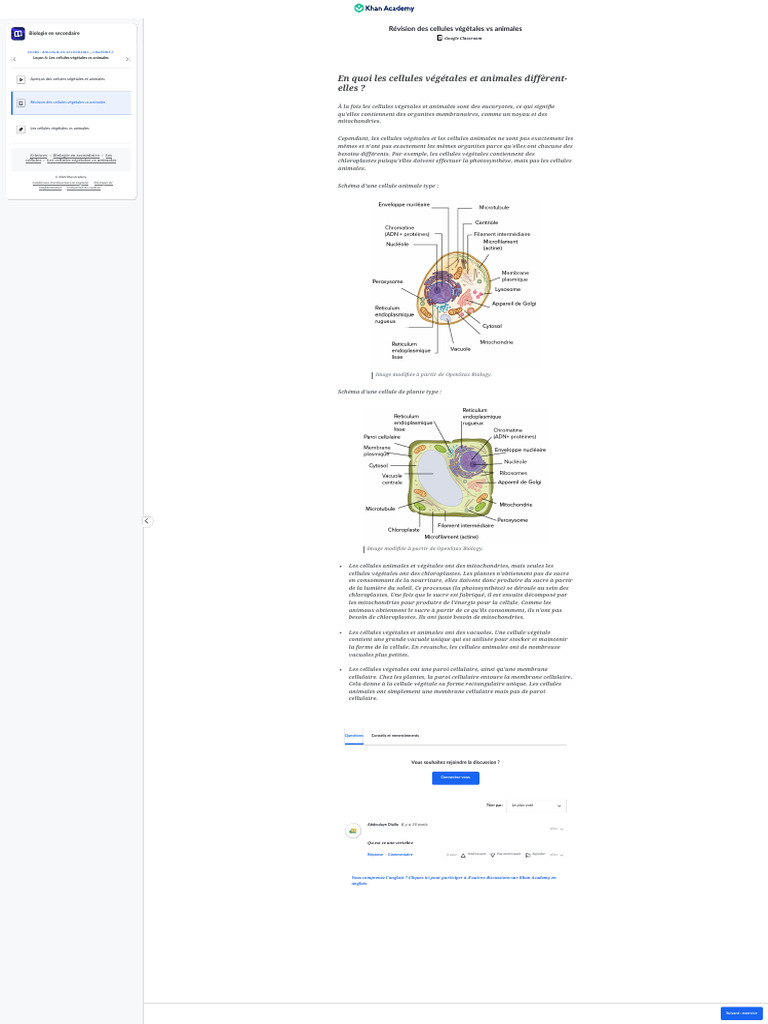 Cellule Végétales Vs Animales | PDF