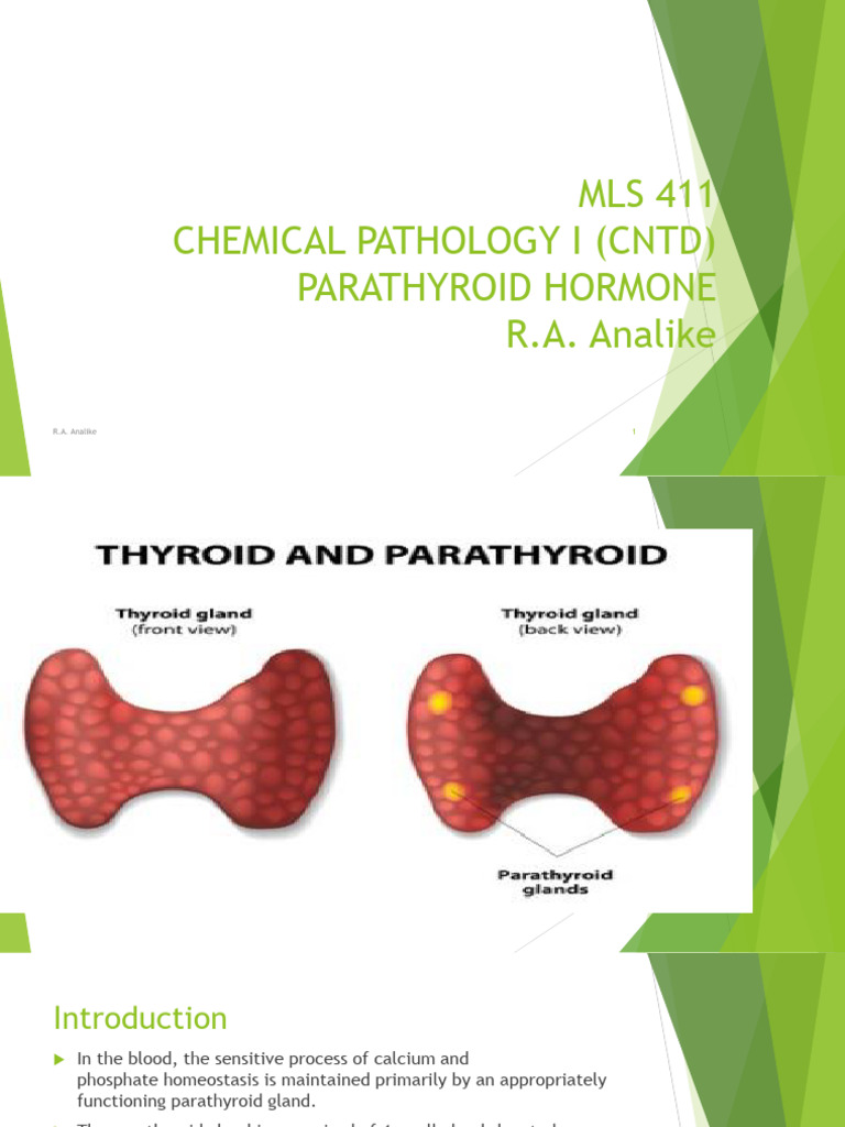 Parathyroid Hormone | PDF
