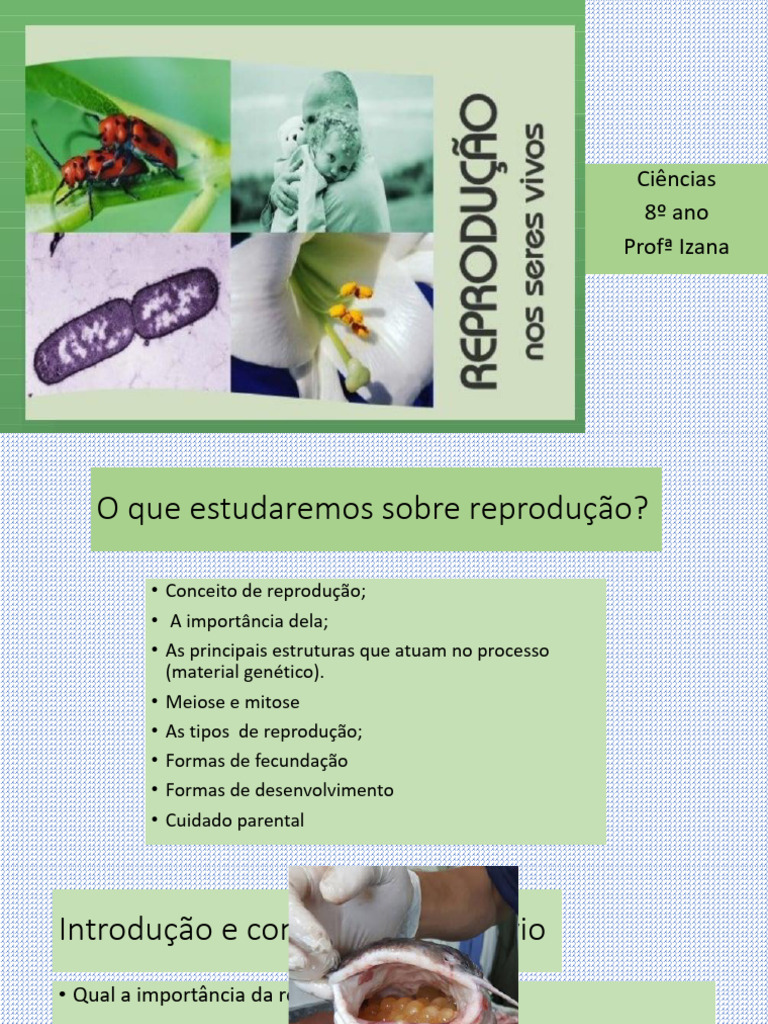 Reprodução Dos Seres Vivos | PDF