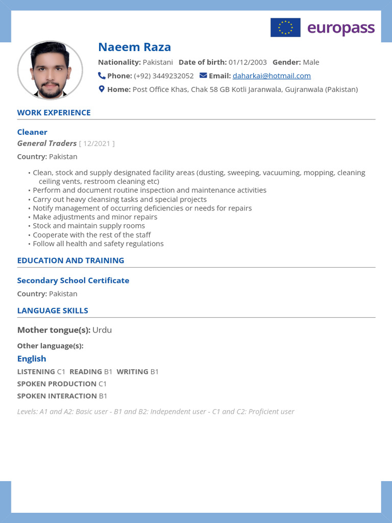 Naeem Raza CV | PDF