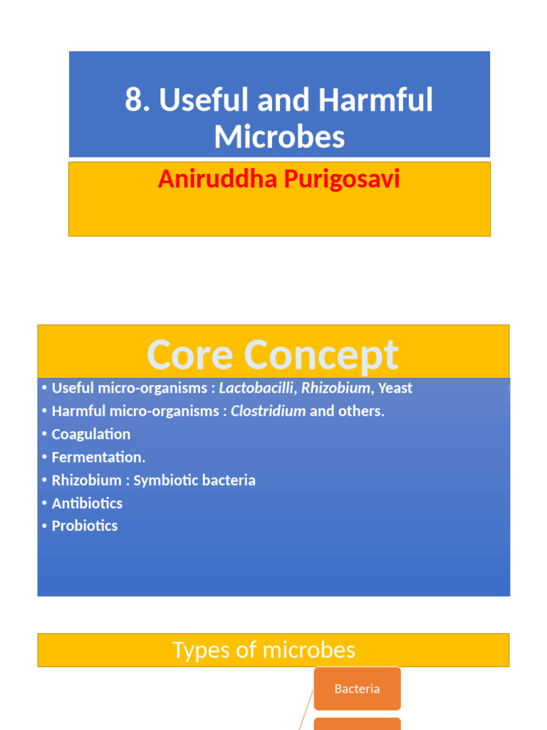 8.useful and Harmful Microorganism | PDF