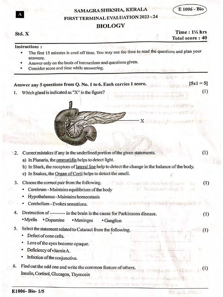 SSLC First Term Exam 2023 - BIOLOGY Question Paper Eng Med | PDF