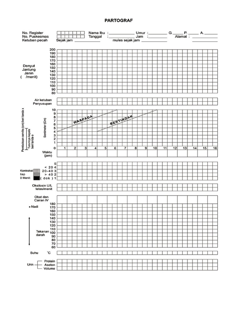 Partograf Kosong Docx 2 | PDF