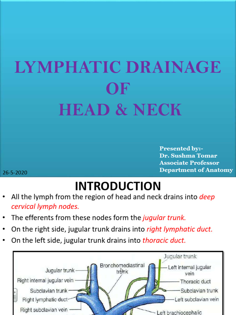Lymphatic Drainage of Head Neck | PDF