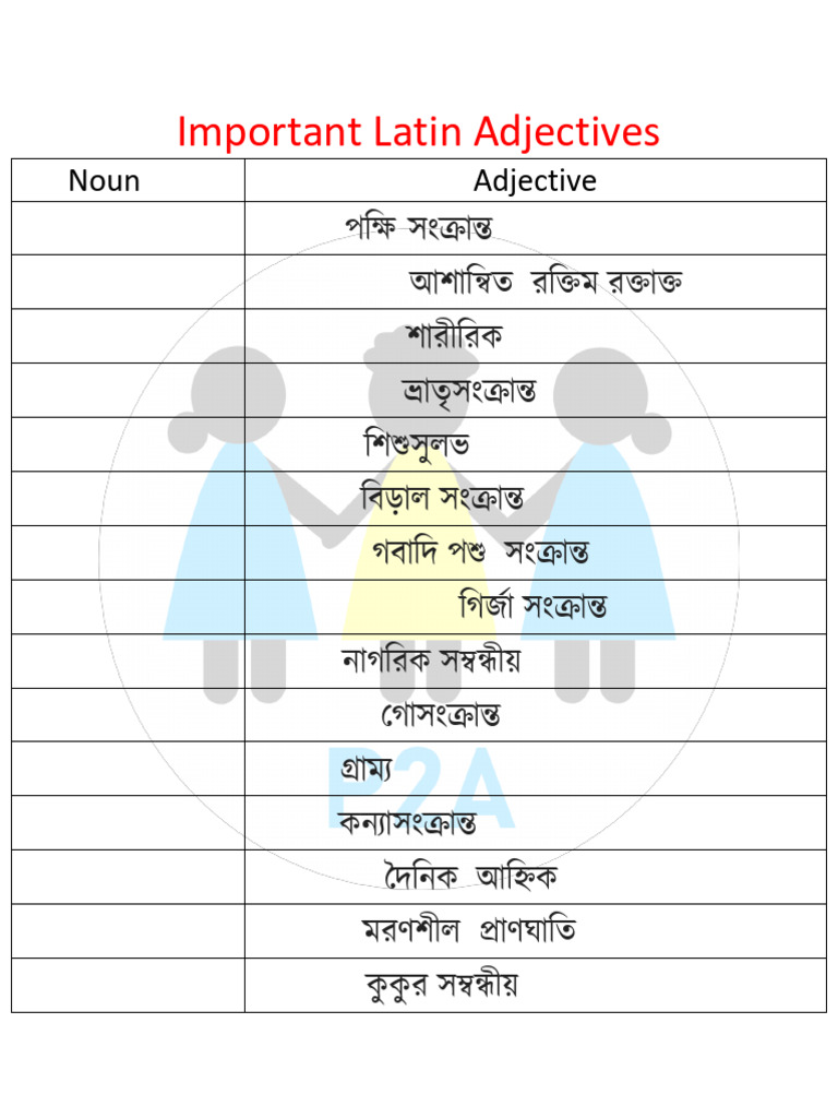 RM-Latin Adjective - P2A | PDF