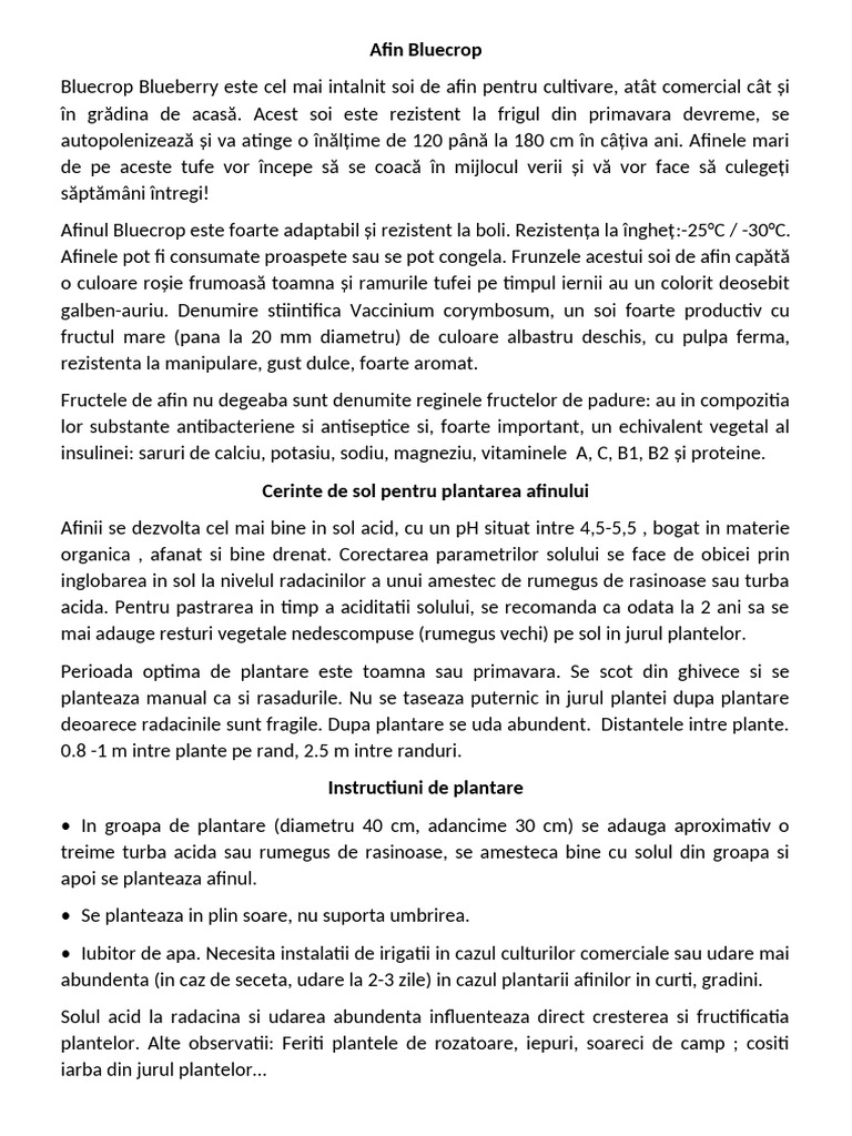 Afin Bluecrop | PDF