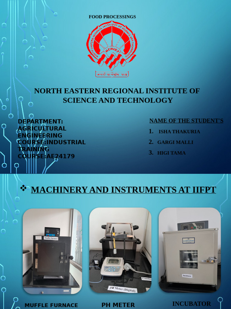 Internship Presentation | PDF
