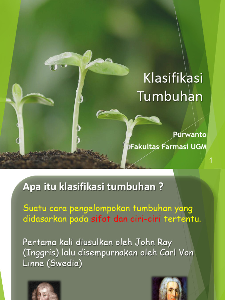 Klasifikasi Tumbuhan Menurut Purwanto | PDF | Seni & Disiplin Bahasa