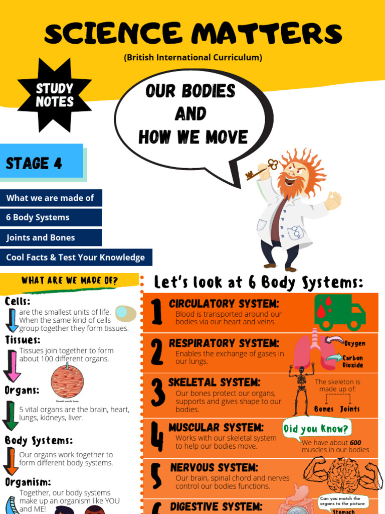 Science Matters: Our Bodies AND How We Move | PDF | Human Body | Wellness