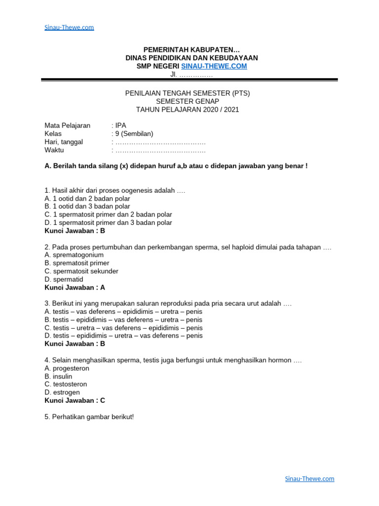 Soal PTS IPA Kelas 9 Semester 2 Tahun 2020-2021 | PDF Soal PTS IPA Kelas 9 Semester 2 Tahun 2020-2021 | PDF