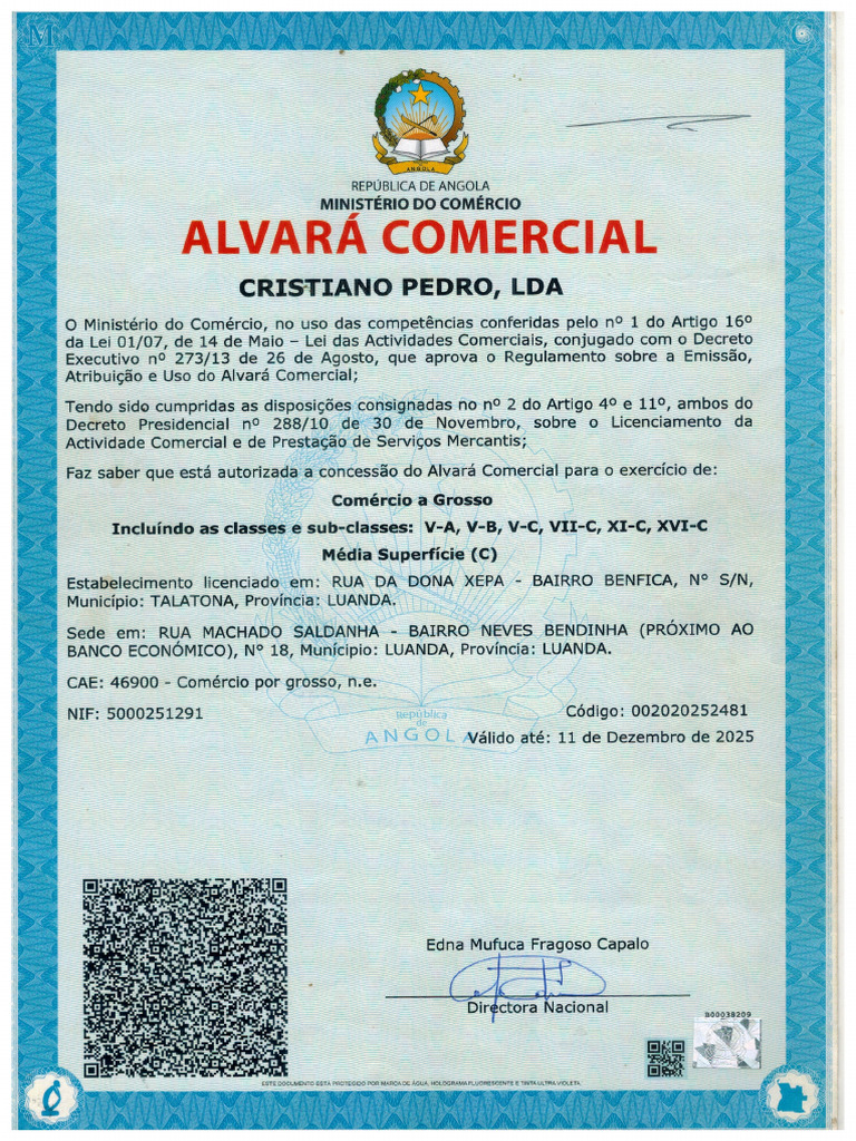 Alvara Comercial | PDF
