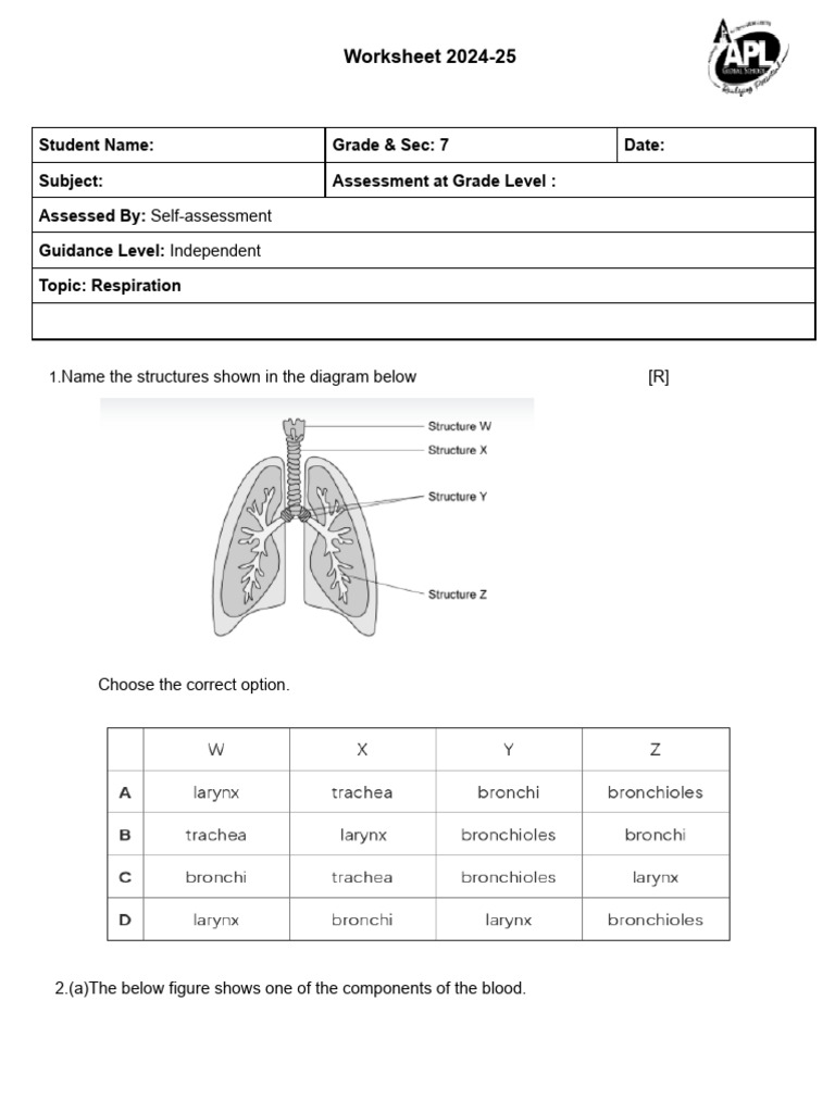 Respiration Worksheet | PDF