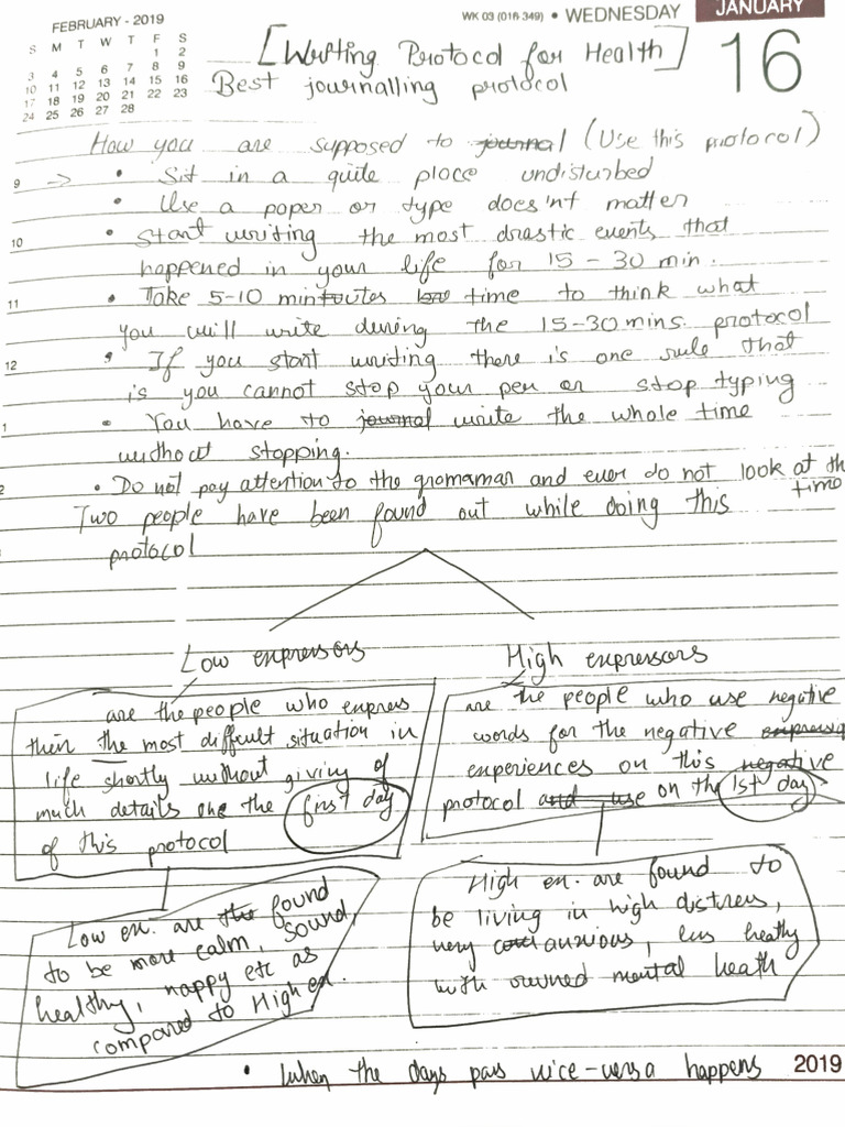 Writing Protocol For Health | PDF