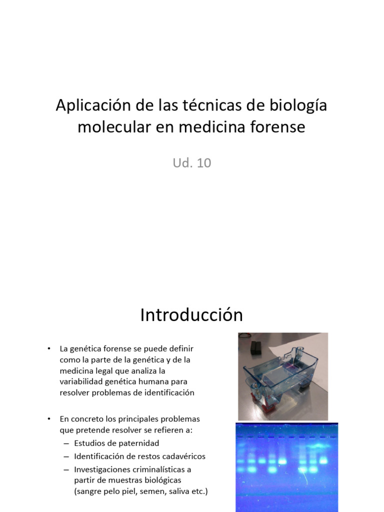 Tema 10 BMC | PDF | Perfiles de ADN | Adn