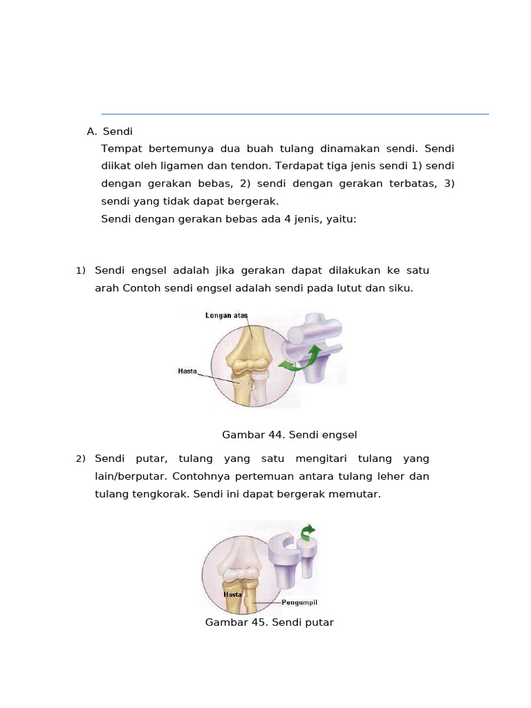 IPAS 6. SENDI Dan OTOT | PDF