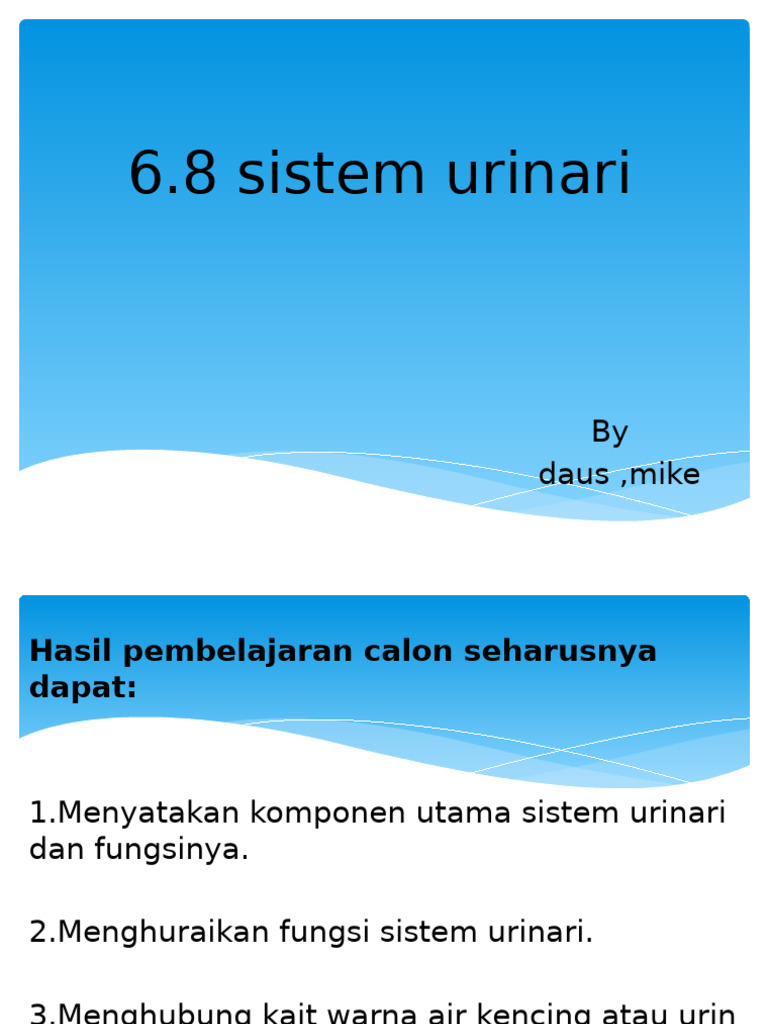 6.8 SISTEM URINARI - Firdaus and Mike | PDF