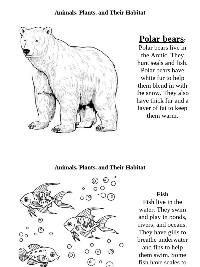 Animals | PDF