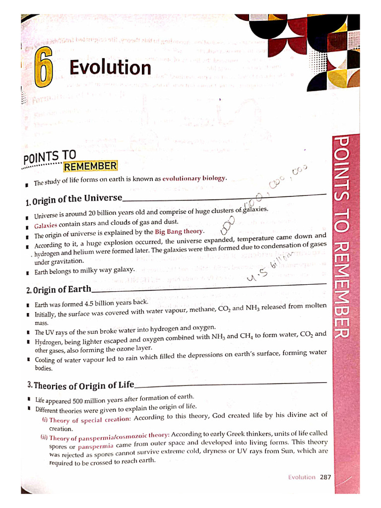 Evolution Notes | PDF