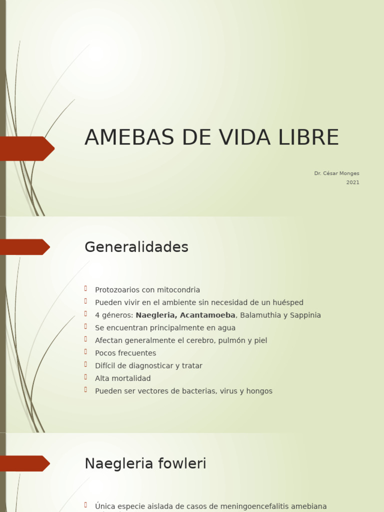 Amebas de Vida Libre | PDF