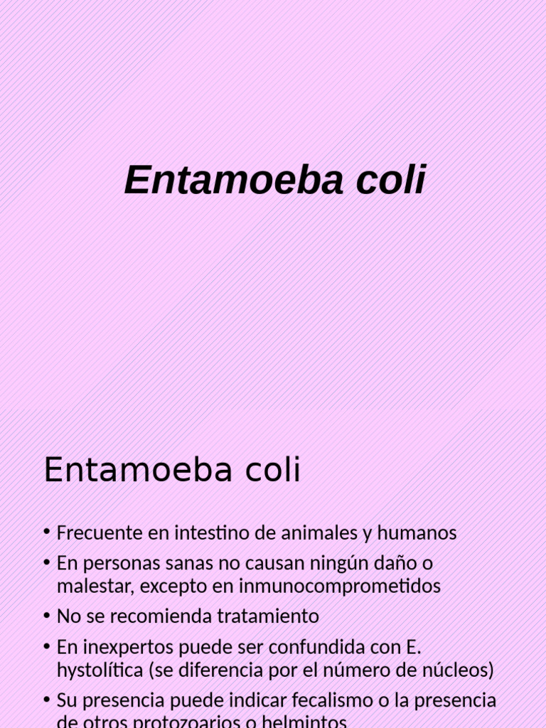 Entamoeba Coli | PDF