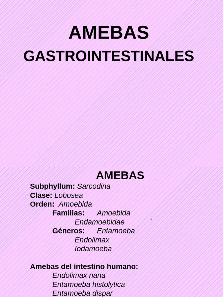 Amebas Clasificacion y Ameba Hystolitica | PDF