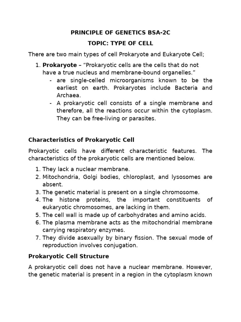 Type of Cell (Bsa-2c, Group 2) | PDF | Cell (Biology) | Science ...