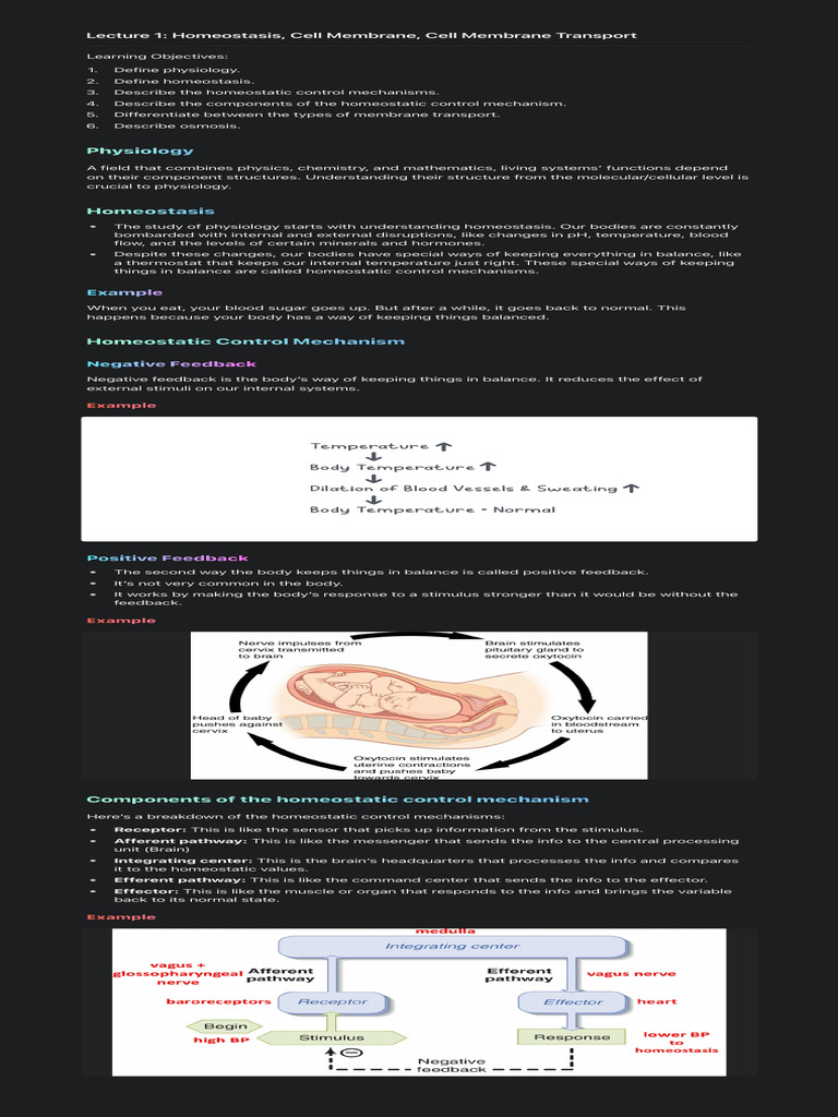Lecture 1: Homeostasis, Cell Membrane, Cell Membrane Transport | PDF
