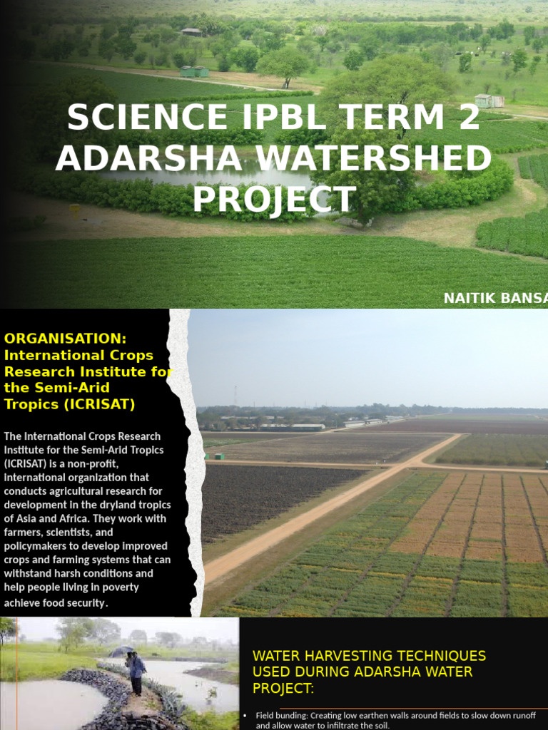 Science IPBL 2 Term 2 | PDF