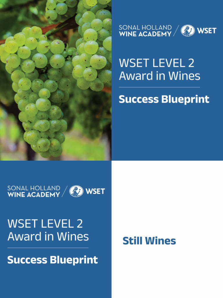 WSET Level 2 Success Blueprint - Compressed | PDF