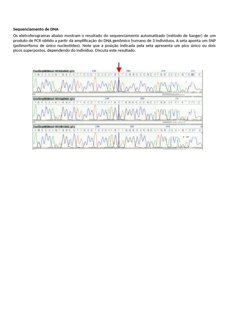 Sequenciamento de DNA Docx | PDF
