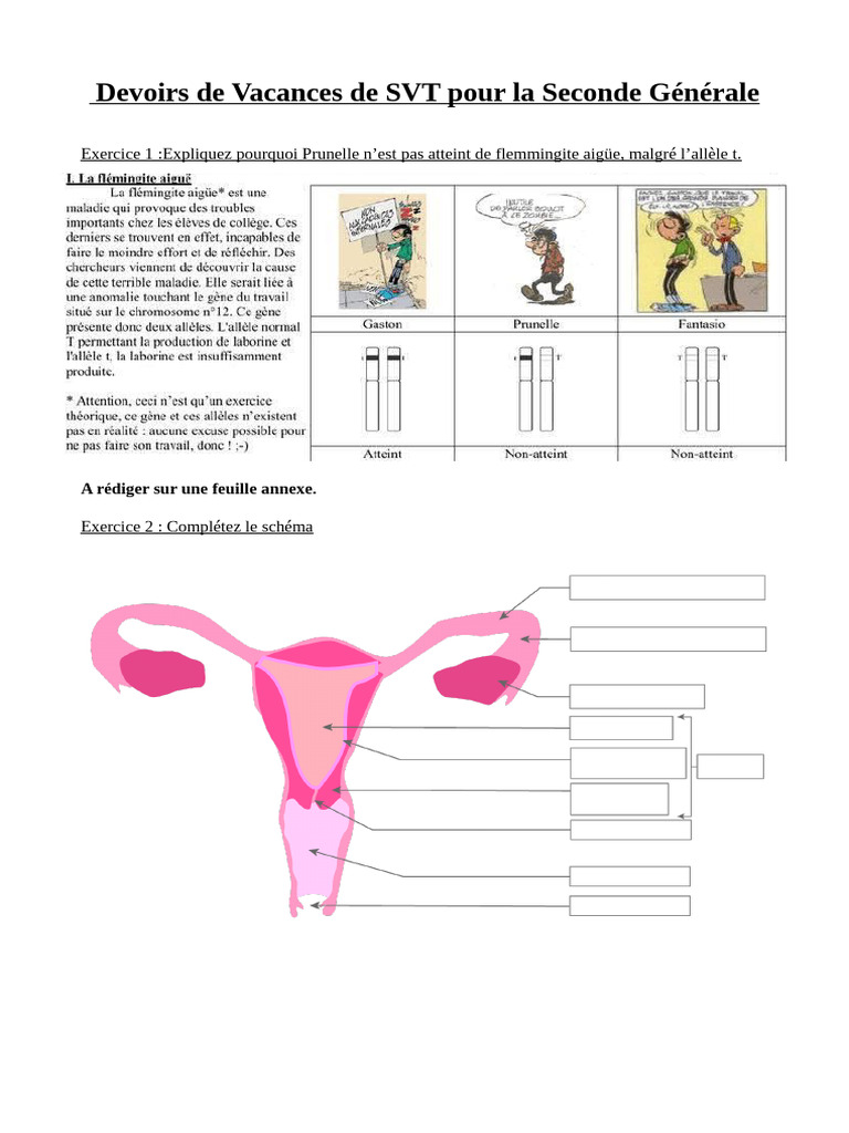 Devoirs de Vacances Seconde | PDF