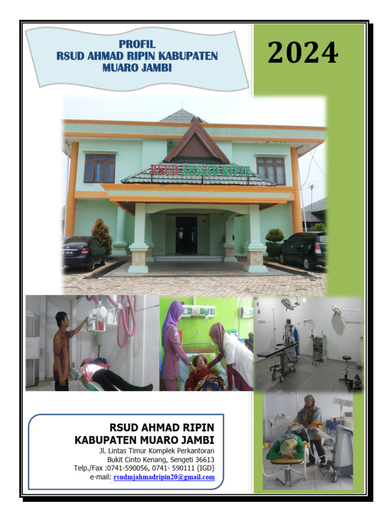 Profil RSUD Ahmad Ripin 2024 | PDF