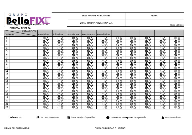 skill map REYSE SA | PDF