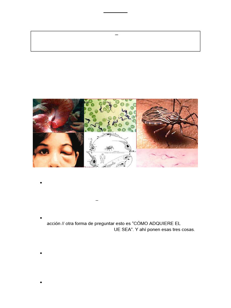 TP2 Parasita | PDF