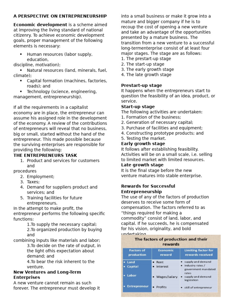 A-PERSPECTIVE-ON-ENTREPRENEURSHIP | PDF