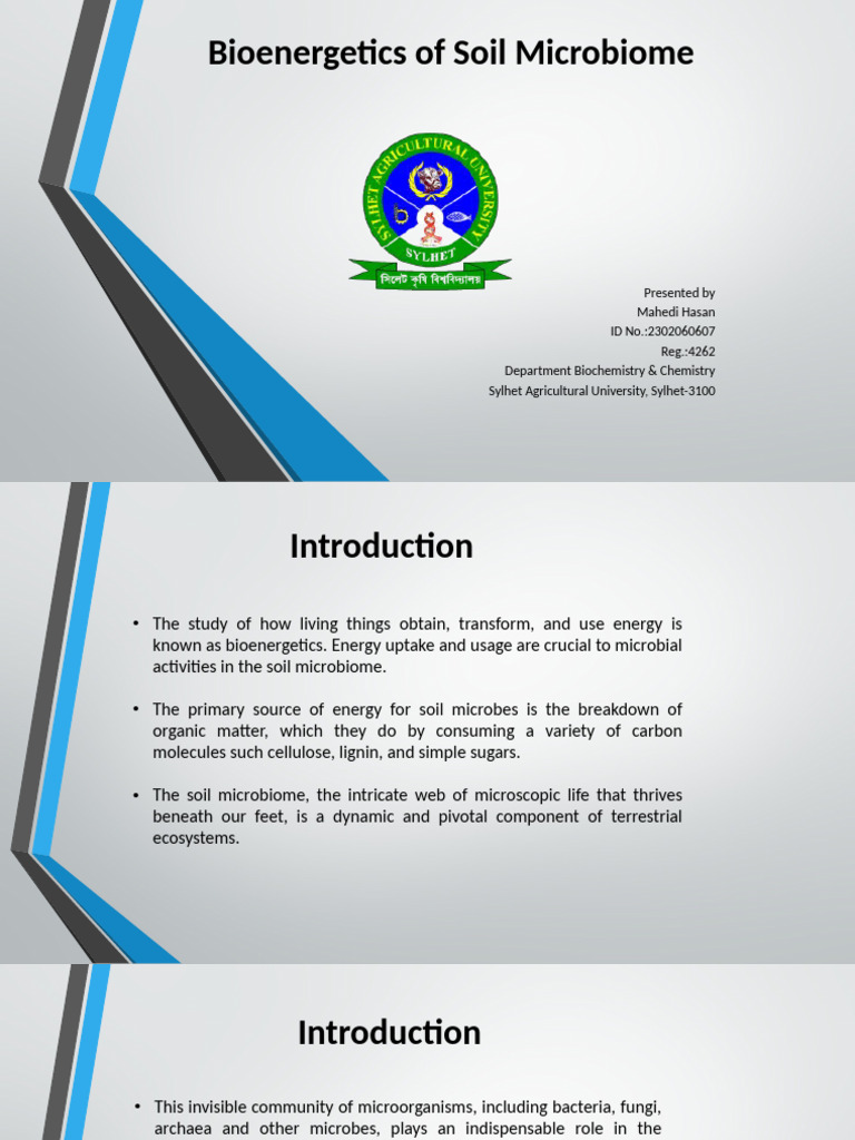 Bioenergetics of Soil Microbiome | PDF